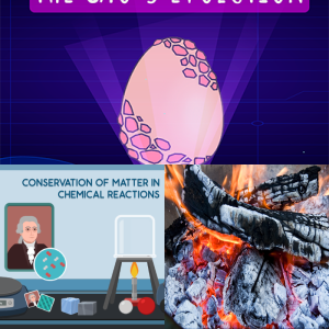 Free Lesson: Chemical Reactions: Evidence of a Reaction 6.6E - Free ...